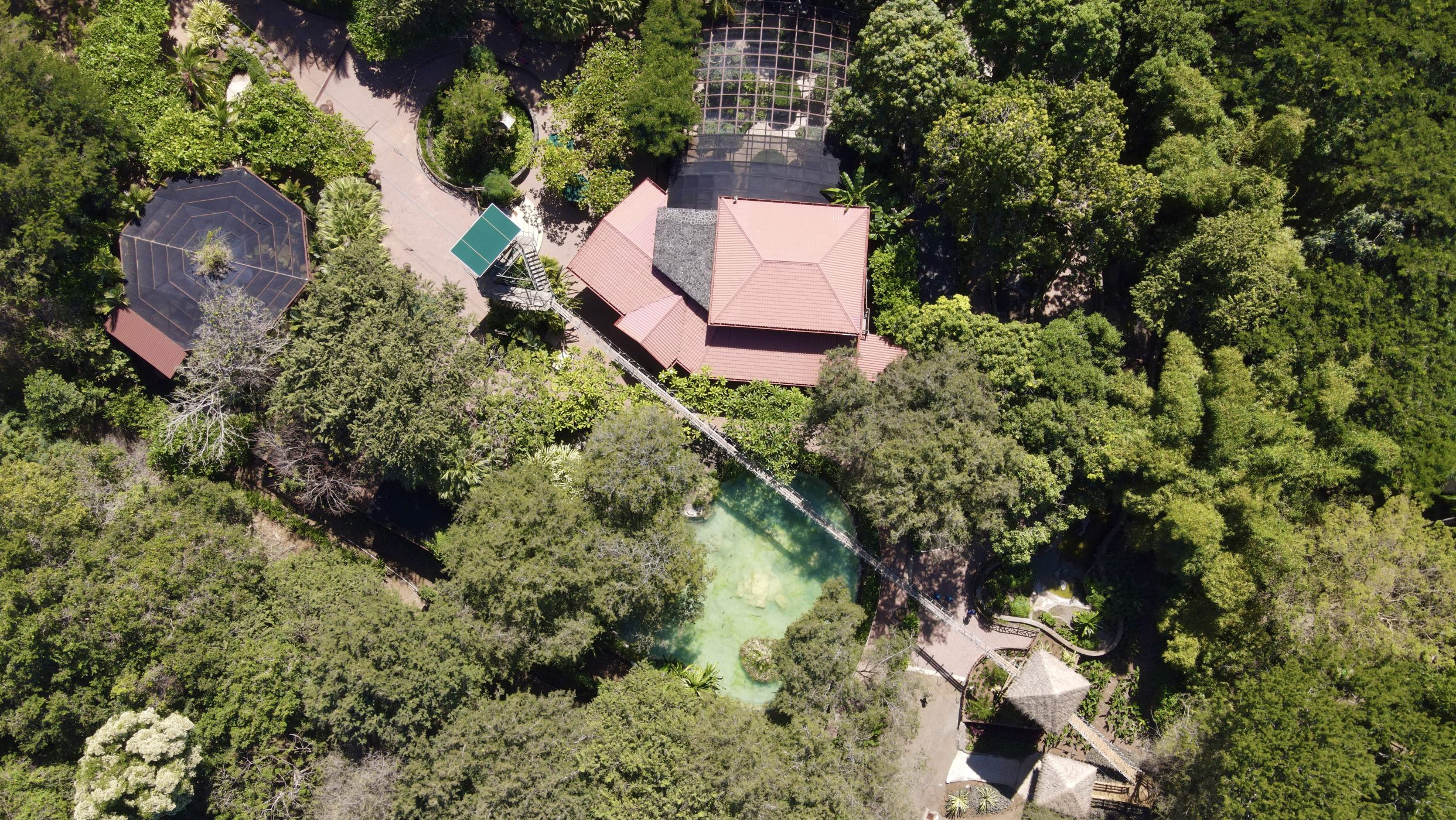 Explore Costa Rica’s Wildlife at Diamante Sanctuary